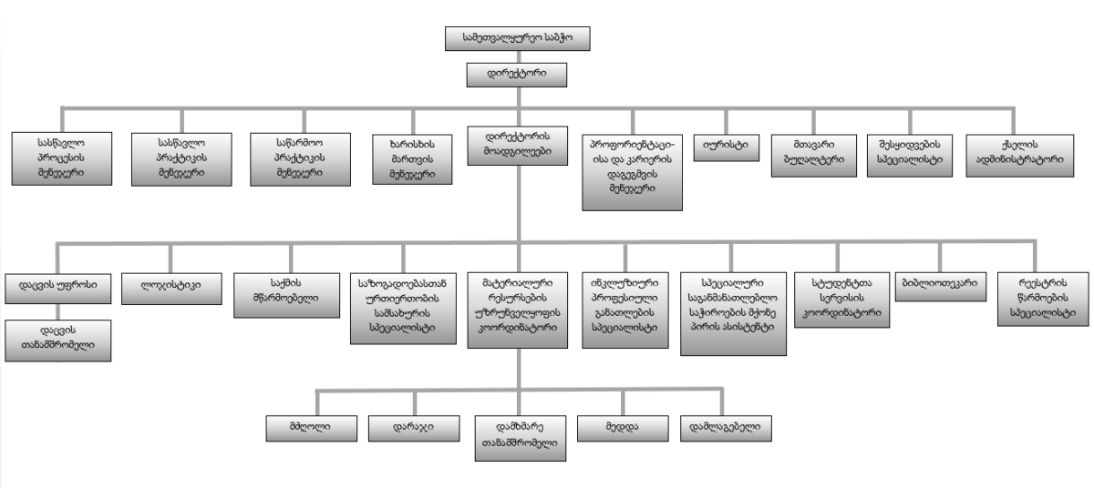 სტრუქტურა – spectri.ge